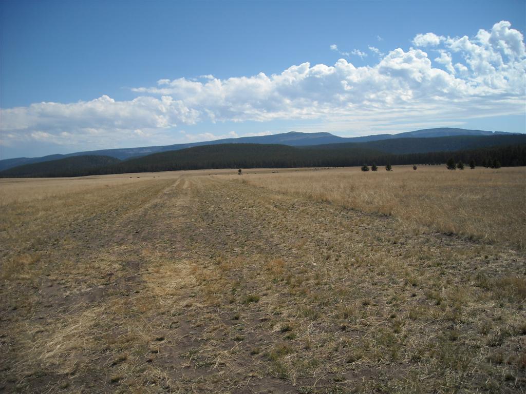 RUSSIAN FLAT, MT – shortfield